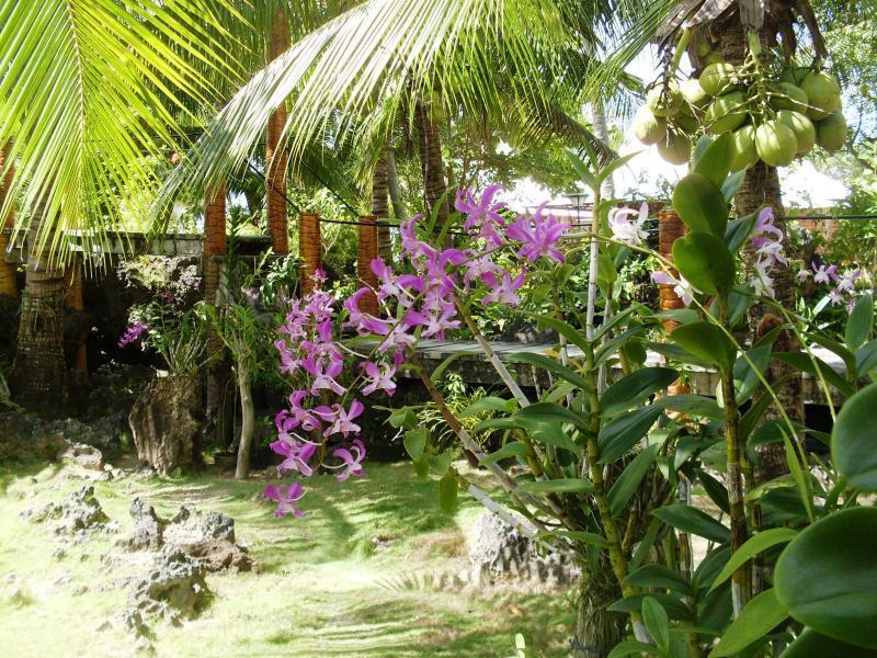MAIA'S BEACH RESORT 2⋆ ::: BANTAYAN ISLAND, PHILIPPINES ::: COMPARE ...